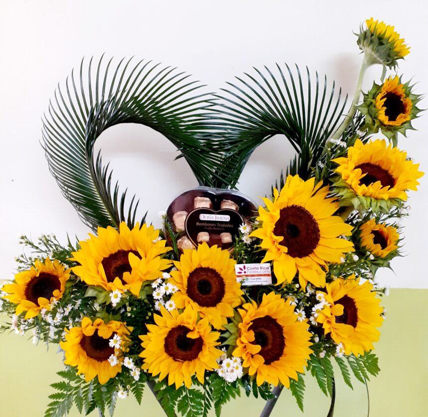 Store – Florist Costa Rica Flowers